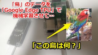 Google Edge TPUを購入してラズベリーパイと機械学習してみた